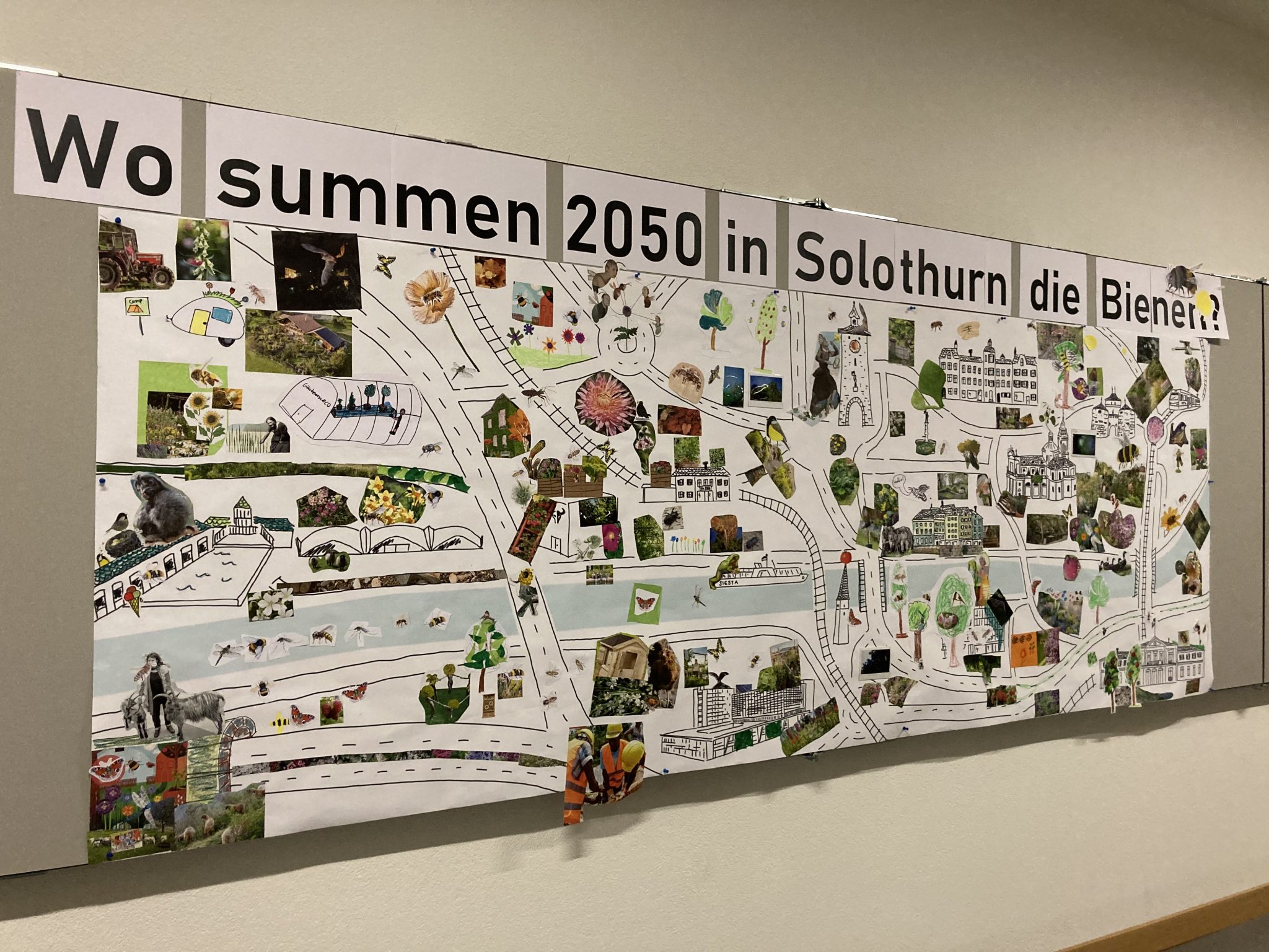 BEGEGNEN an der Math-Science-Night 2022 - BNE-Garten-Labor