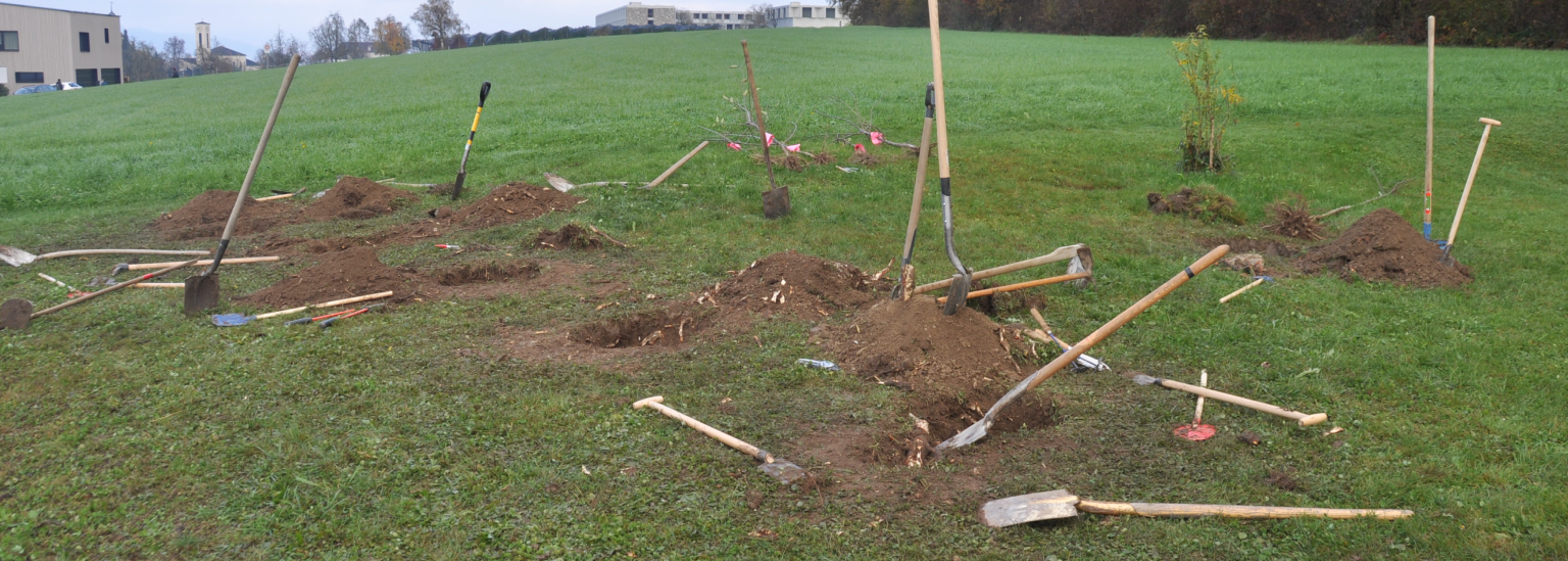 Obstgarten - BNE-Garten-Labor