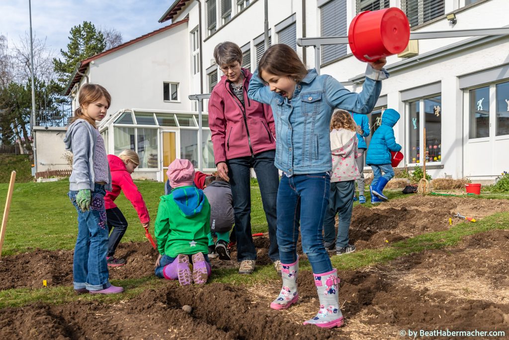 Schulhausumgebung - BNE-Garten-Labor